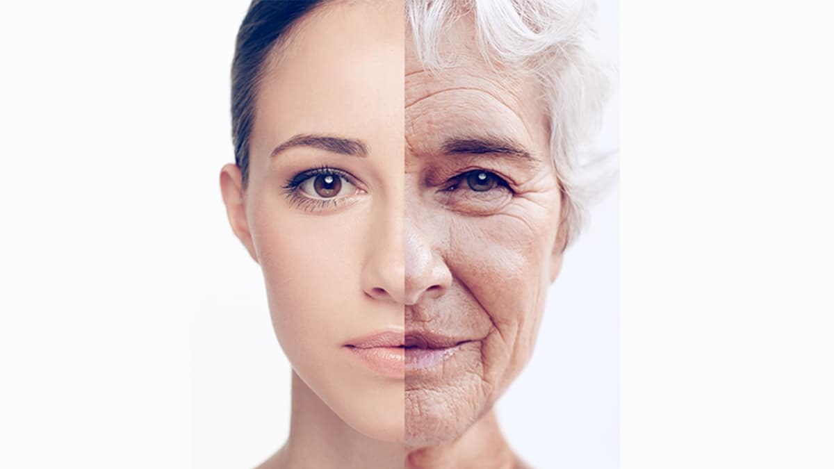 Warum altern wir? Fakten und Zahlen