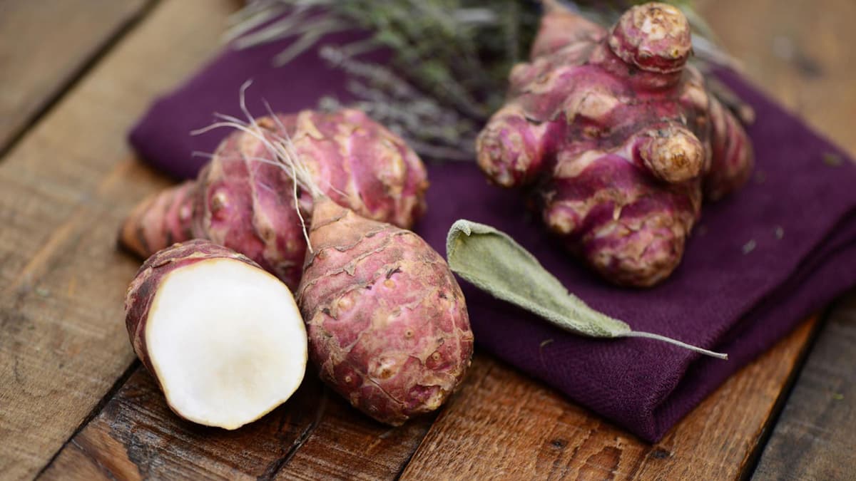 Mucize yumru Kudüs enginarı: bağırsaklar için iyi