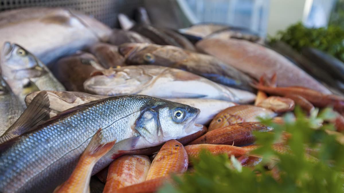 Frischer Fisch: Auf diese Qualitätsmerkmale sollten Sie achten