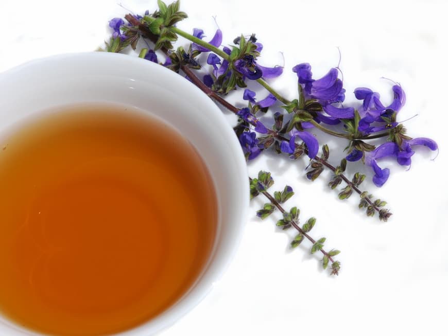 Fasten-Anleitung: Das müssen Sie beachten