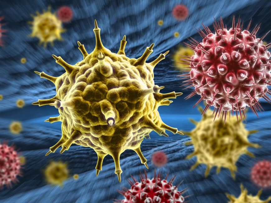 Irytujące przeziębienie: kto jest winny - wirusy czy bakterie?