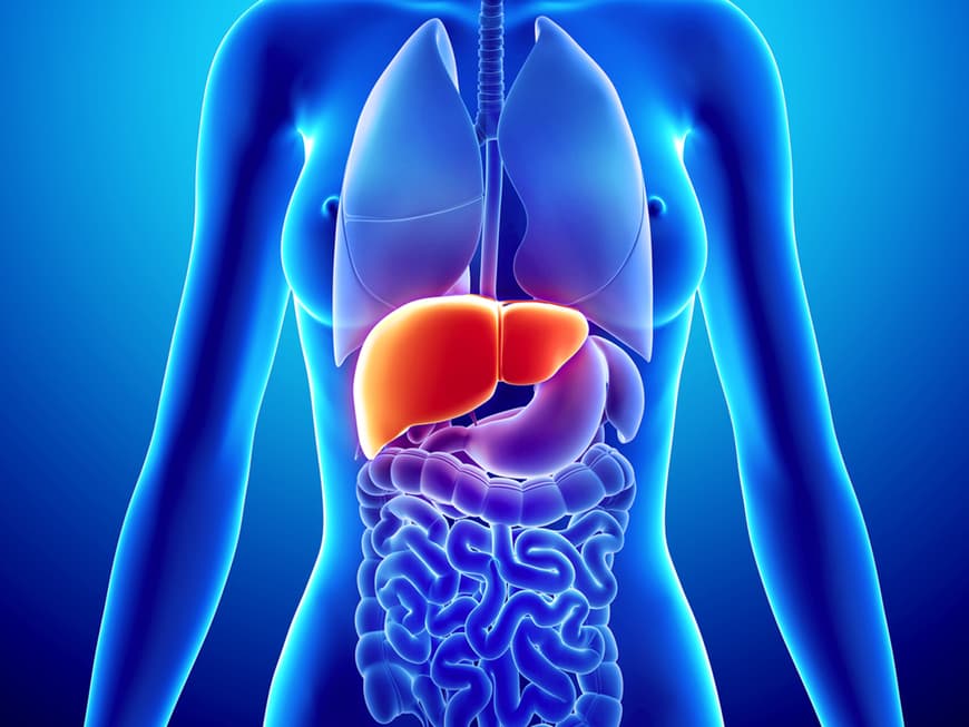 Leber schützen: Die Ernährung ist das A und O