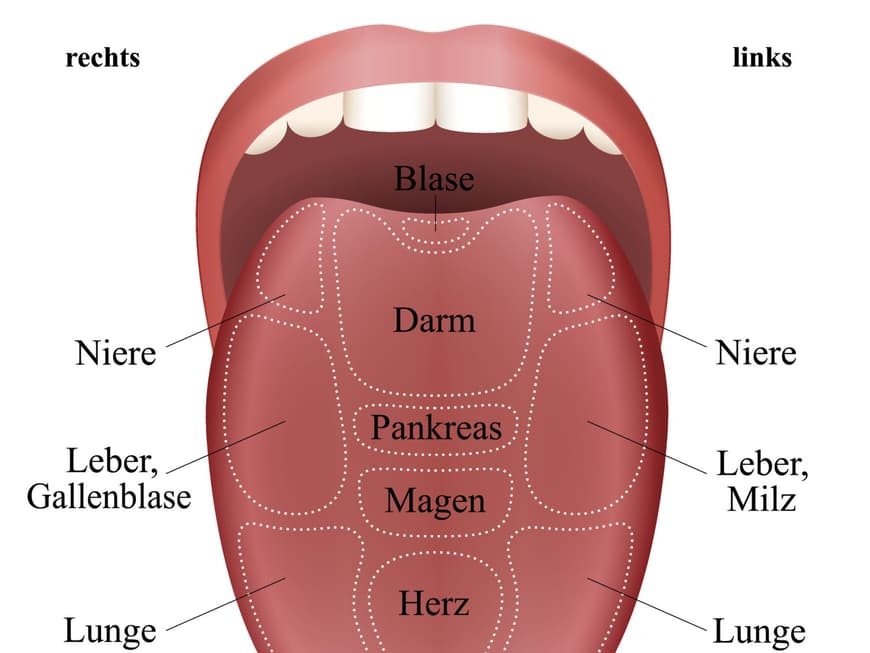 Indicateur de symptômes langue : reconnaître les maladies en un coup d'œil