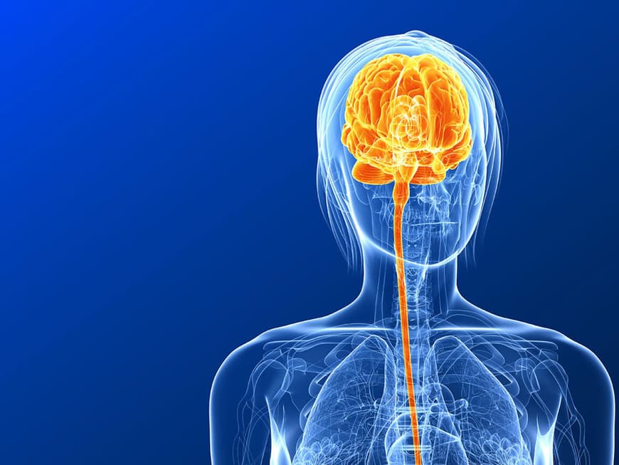 Quel est le danger d'une infection à pneumocoques